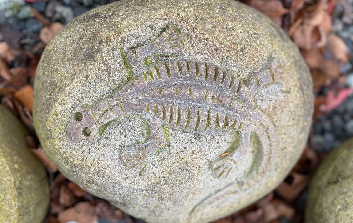 Køb Natursten m. motiv firben L 25-30 cm - Sten og Granit Butikken